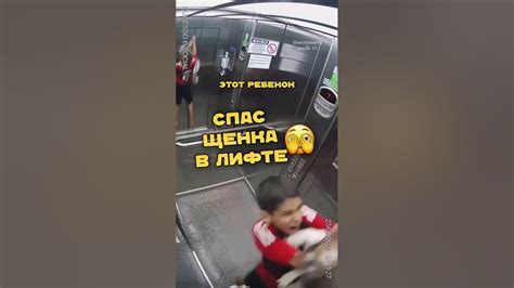 Мальчик спас собаку в лифте 🙌 Youtube