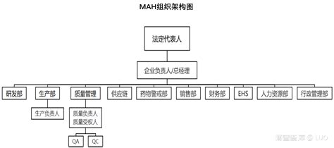 MAH 常见组织架构及审核要点 博普智库