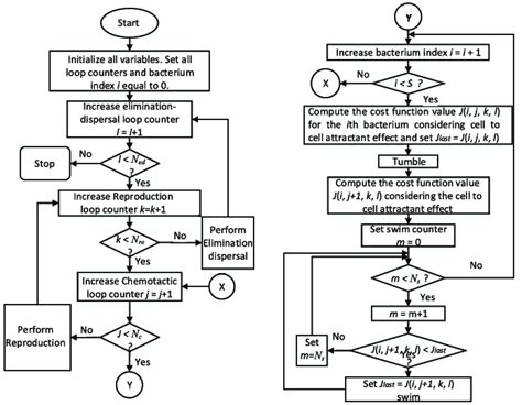 The Flowchart Of The Bfo Algorithm Download Scientific Diagram