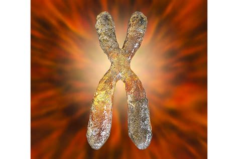 Cnv Sequencing Semiconductor Sequencing Ivd Medical Device Capitalbio