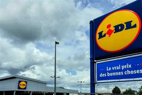 Lidl Transforme Lentretien De Votre Jardin Avec Ce Souffleur En