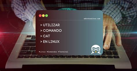 Cómo Utilizar El Comando Cat En Linux Blog Linux