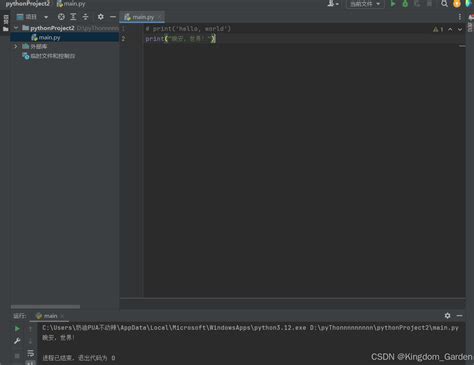 第一个python程序 Csdn博客