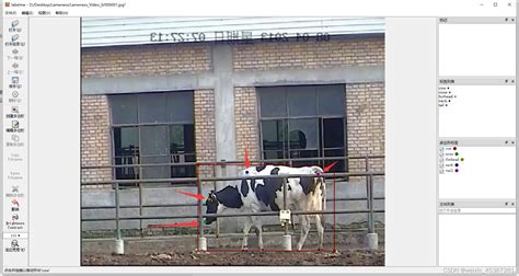 Mmpose训练流程 Csdn博客 Mmpose训练流程 Csdn博客