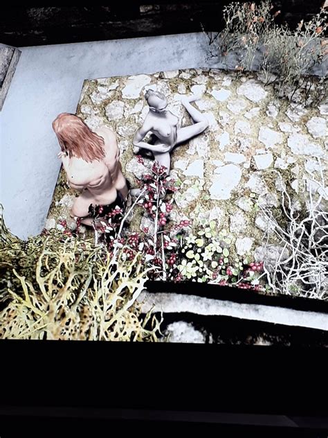 Help With Sexlab Sse Technical Support Sexlab Framework Loverslab