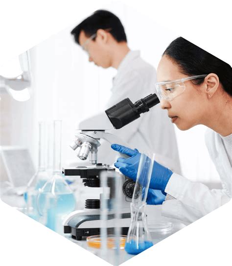 Buy Research Chemicals And Small Molecule Inhibitors Musechem