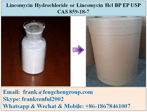 Lincomycin Hydrochloride Or Lincomycin Hcl Bp Ep Usp Cas 859 18 7 Manufacturers And Suppliers