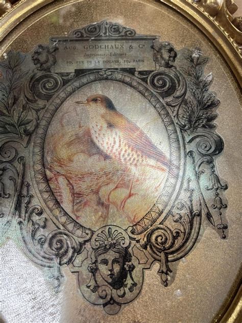 Mirror Makeover Using A Transfer The Shabby Tree