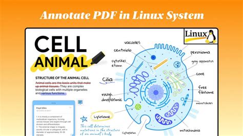 How To Annotatehighlight Pdf On Linux Efficiently Updf