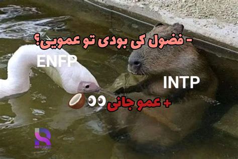 ام بی تی ای اونجا؟ام بی تی ای اینجا؟ تستچی