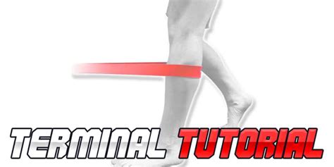 Banded Terminal Knee Extensions And Knee Health Highly Effective Rehab