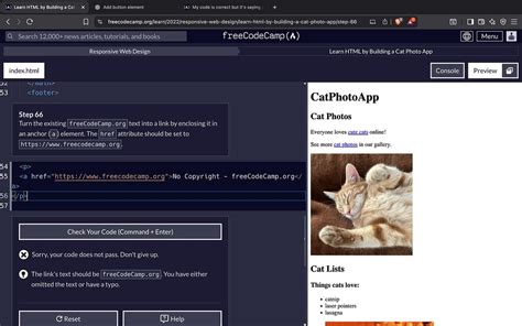 My Code Is Correct But Its Saying Its Not Html Css The Freecodecamp Forum
