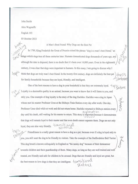Essay Example With Markup Pdf