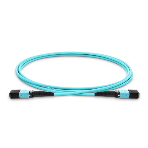 8m 26ft Mpo 12 Female To Mpo 12 Female Om3 Trunk Cable 12 Fibers Type B Plenum Lszh