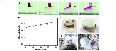 Fluid Delivery Through The Developed Microfluidic Neural Interface And