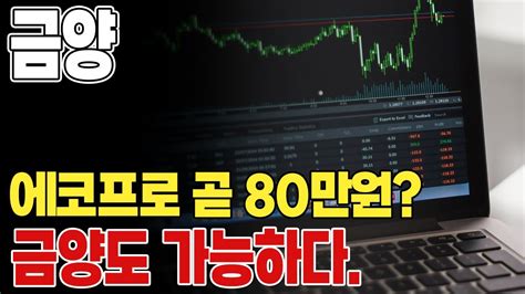 금양 주가전망 에코프로 곧 80만원 금양도 가능합니다 금양 금양주가 금양주가전망 Youtube