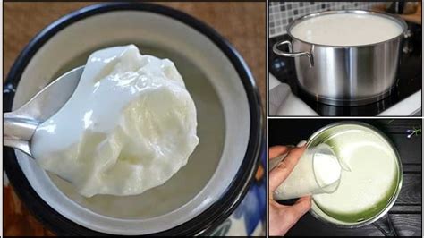 இனி தயிர் உரைய காத்திருக்க வேண்டாம் பத்தே நிமிஷத்தில் பாலை தயிராக மாற்ற ஒரு சூப்பர் ட்ரிக்ஸ்