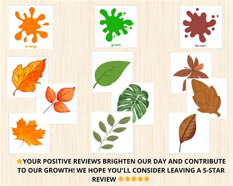 Autumn Color Sorting Activity Color Matching Game Autumn Leaves Colour Sorting Montessori Color