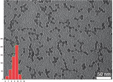 Tem Images And Diameter Distribution Of Core Shell Silica Nanoparticles Download Scientific