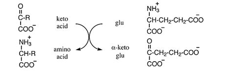 C Is It Possible To Have A Static Verticalstacklayout With Textboxes For Input Stack Overflow