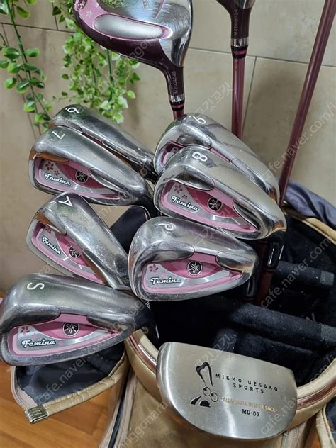여성용 정품 야마하 페미나 골프채 풀세트 팝니다 골프백 풀세트 중고나라