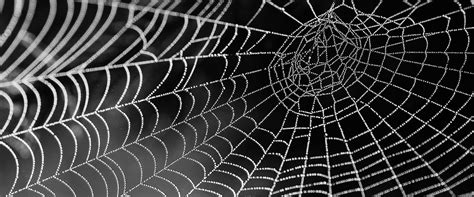 Chrome Extensions Vs Chrome Apps Understanding The Difference