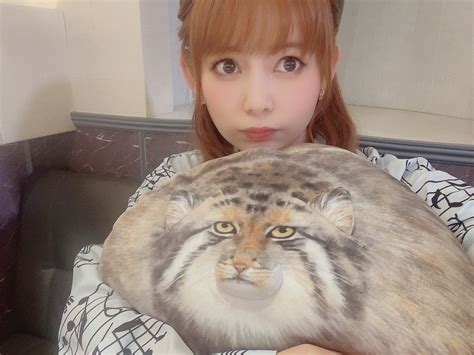 20周年の中川翔子🐈‍⬛🍉🍫 On Twitter マヌルネコ