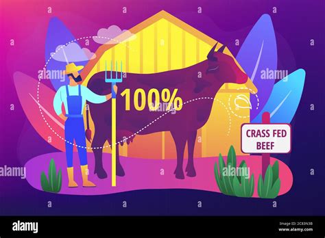Grass Fed Beef Concept Vector Illustration Stock Vector Image And Art Alamy