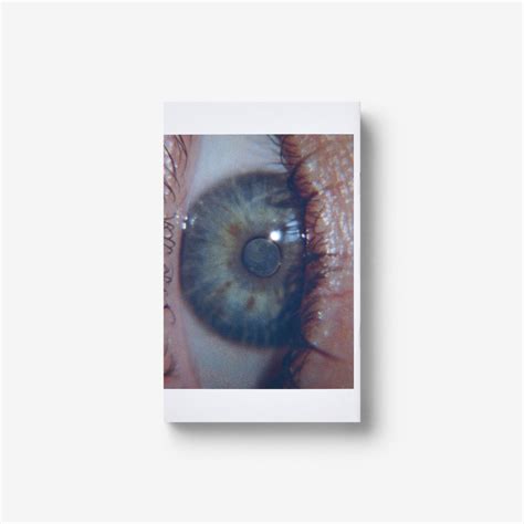 Bi Scriptual Typography And Graphic Design With Multiple Script Syste