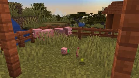 MOBS DROPPING HEADS DATAPACK Minecraft Data Pack