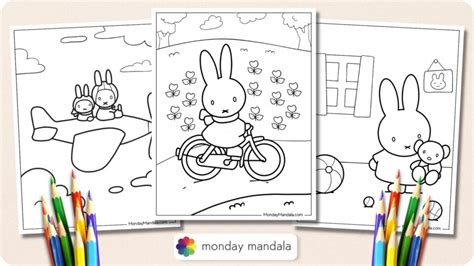 20 Miffy Coloring Pages Free Pdf Printables