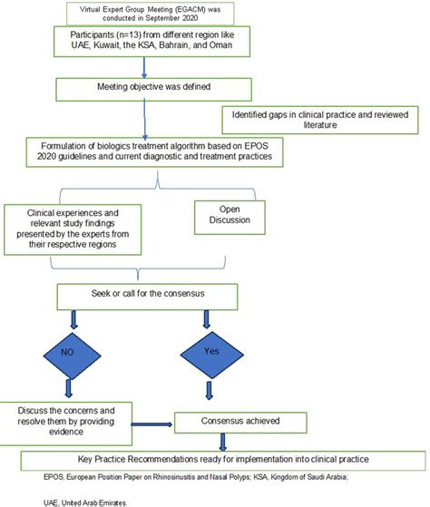 flow chart representation of consensus development download