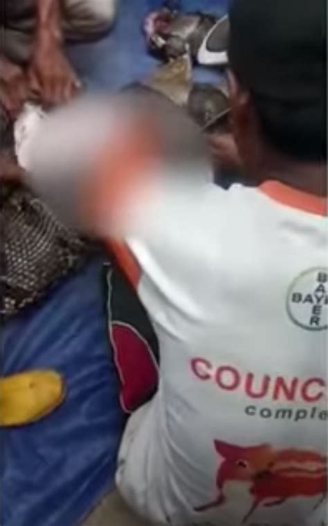 Woman Swallowed By Ft Python