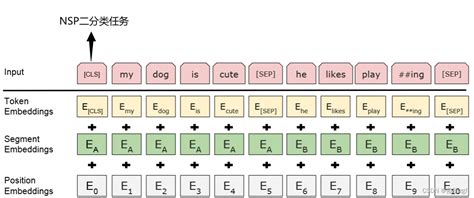 Nlp最著名的bert语言模型详细解读掩码语言模型 Csdn博客