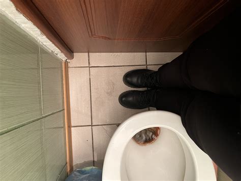 Расстояние от унитаза до двери на работе Пикабу