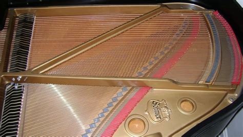 8 Key Facts About The Piano That You Didnt Know The Fact Site