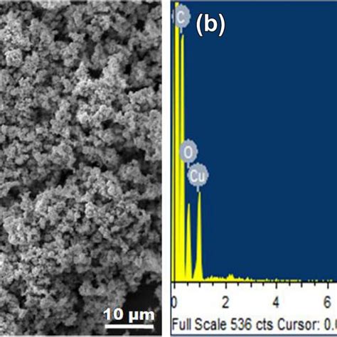 a sem image and b edx elemental mapping of cuo nps download
