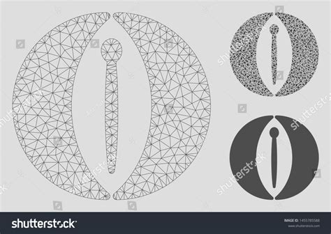 Mesh Female Genitals Model Triangle Mosaic Stock Vector Royalty Free 1455785588 Shutterstock