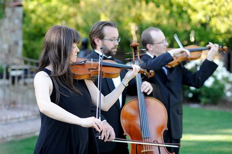 Wedding Ensemble Options Wedding Quartet Wedding Trio Wedding Music — Maxim Strings
