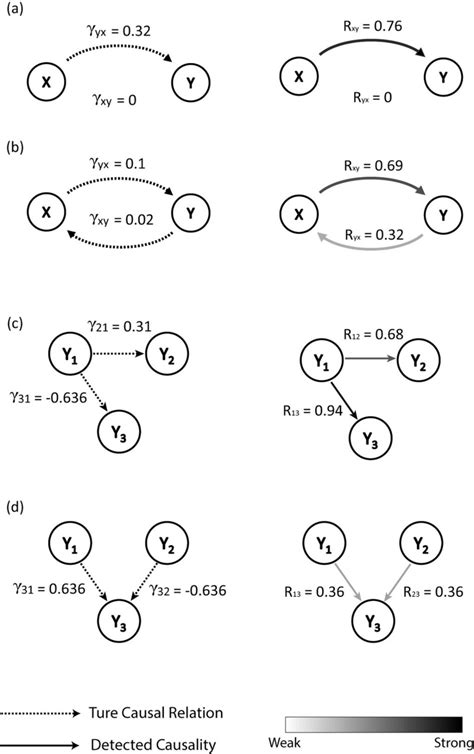 Coupling Relationship Patterns Coupling Strength γ In The Left Column Download Scientific