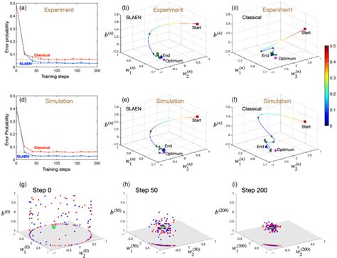 Comparison Between Experimental Data And Simulations In Training For 2d