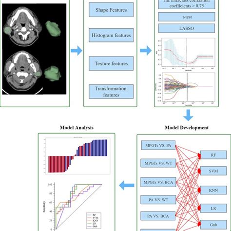 Workflow Of The Radiomics Analysis Lasso Least Absolute Shrinkage And
