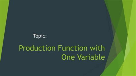 Production Function In One Variablepptx
