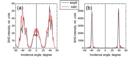 Angular Dependencies Of Shg Signal From A Cell Covered With Silane And