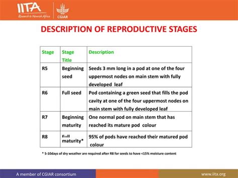 Morphology And Physiology Of Soybean Pptx Agriculture Industries