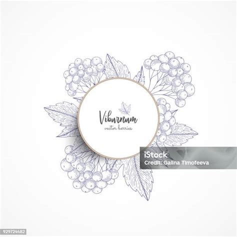 벡터는가 막 살 나무속 배너 라운드 빈티지 배너 손으로 그린 딸기 와 텍스트에 대 한 장소 라벨 포장 디자인 메뉴 카페 레스토랑 조리법 장식 부엌 항목에 아주 좋아 0명에