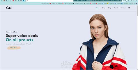 تصميم موقع متجر الكتروني بلغات Html Css Js مستقل