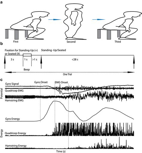 Behavioral Task A B Successive Frames Illustrate The Sequence Of Download Scientific Diagram
