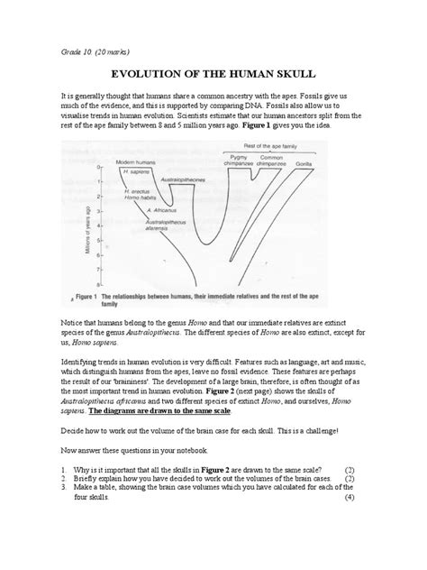 Human Evolution Assignment Pdf