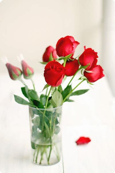 Фото Красные розы в стеклянной вазе